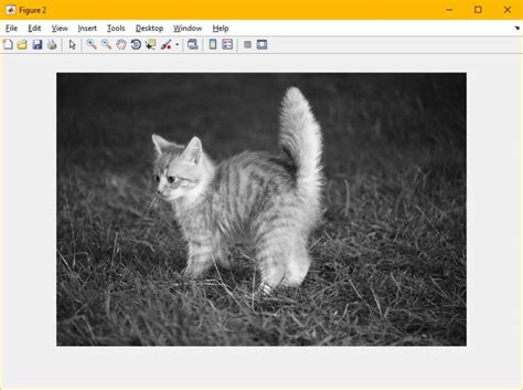 Segmentasi Citra Grayscale Dengan Metode K Means Clustering Pemrograman Matlab