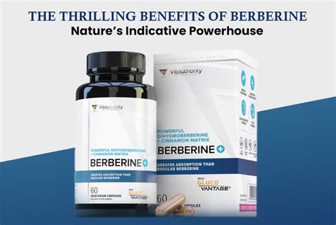 The Thrilling Benefits Of Berberine Natures Indicative Powerhouse