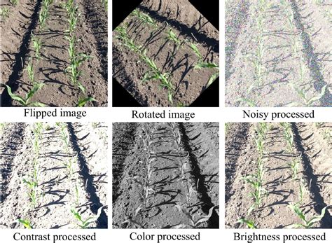 Figure 3 From Improving The Maize Crop Row Navigation Line Recognition