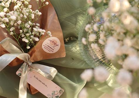 Coco The Cocker Dolce Notte A Tutti♥️ Cocothecocker Cockerspeniel Cockerspenielworld