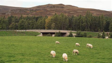 Rias Unveils Shortlist For Scotlands Best Building 2025