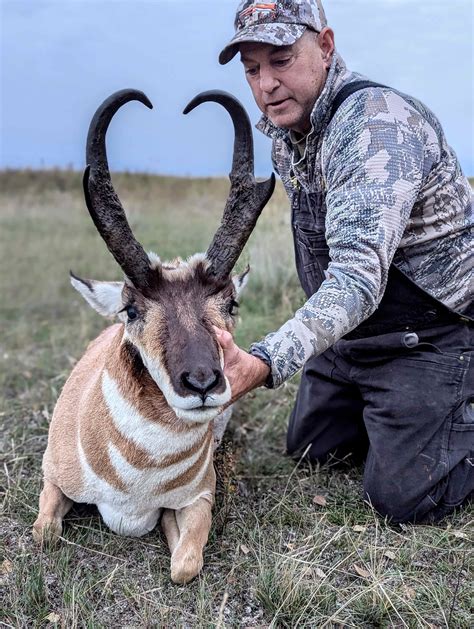 Alberta Antelope