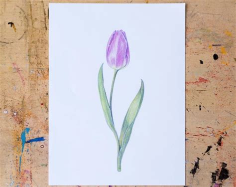 Color Pencil Drawing Ideas For Beginners Easy These Pencil Drawing
