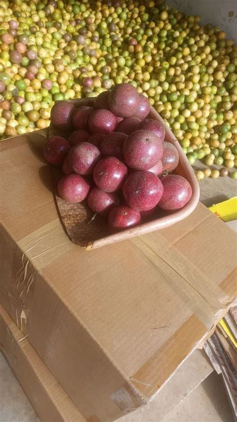 Purple Passion Fruit At ₹ 80kg Passion Fruit In Idukki Id 2851579882348