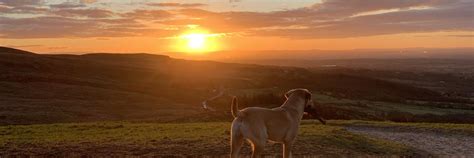 Lucy Batty On Twitter Richard Neary 😏😏😏…