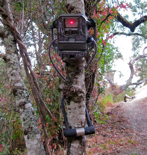 Camera Trap Originally Designed For Hunters To Remove Mor… Flickr