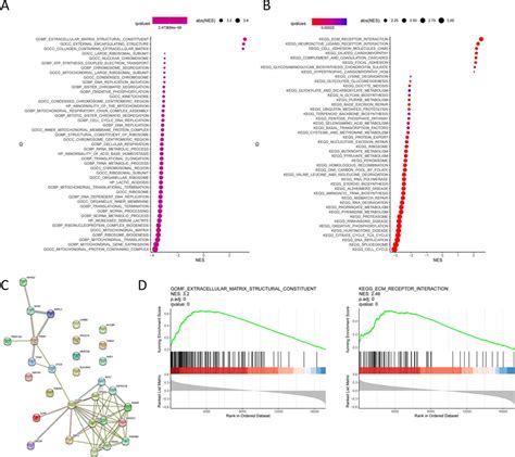 Go Kegg Protein Protein Interaction Ppi Network And Gsea Analysis Download Scientific