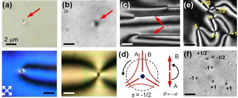 10 Optical Micrograph Of Point Defects A Micrograph