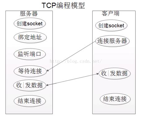Linux C编程 Tcp网络通信 Csdn博客