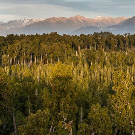 Stream Haratua By Ben Hoadley Composer Listen Online For Free On