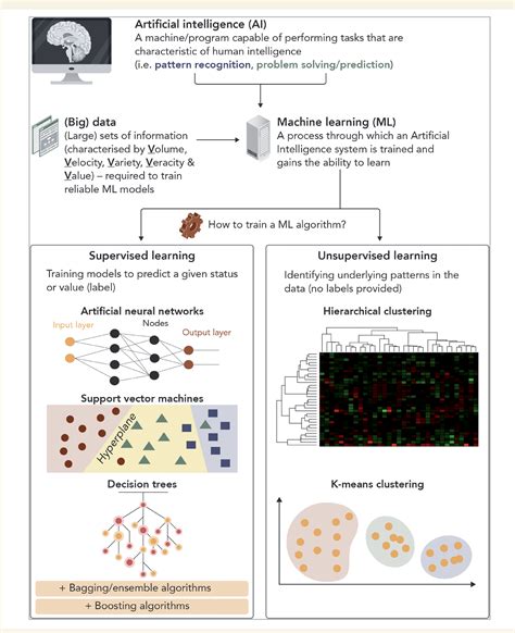 Figure 1 From Artificial Intelligence In Medical Imaging A Radiomic Guide To Precision