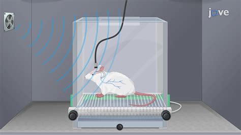 Stimulation Du Nerf Vague Et Conditionnement De La Peur Jove Eoe