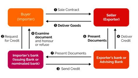 Export Lc And Its Benefits How To Register New Export Lc In Rivo Rivo