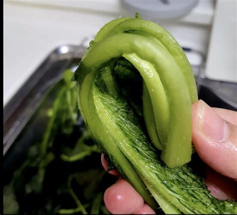 갓 김치 담그는 법 간단홍갓김치담는법 갓김치양념장만들기