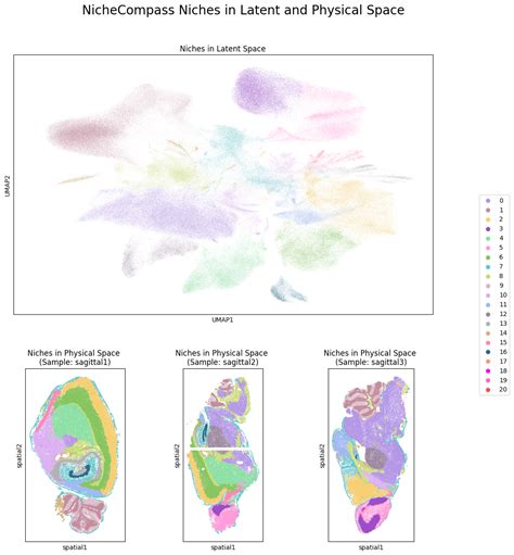Mouse Cns Spatial Reference Mapping Tutorial — Nichecompass