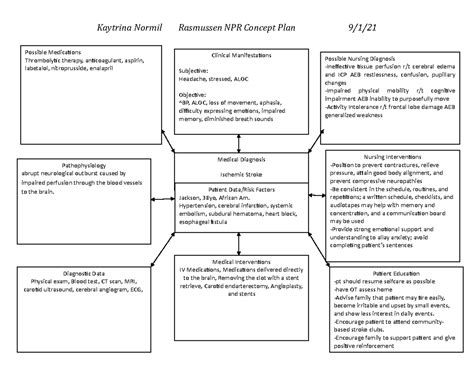 Stroke Map Professional Nursing 3 Kaytrina Normil Rasmussen Npr