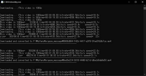 마이팬스 구독영상들 일괄 다운로드 성공했네요 Avdbs