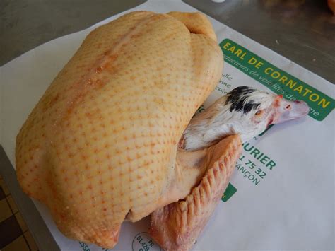Canette De Ferme Prête à Cuire 22 Kg 22 Kg Earl De Cornaton