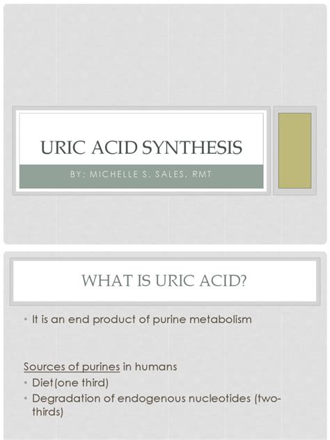 Uric Acid Synthesis Nucleotides Biochemistry