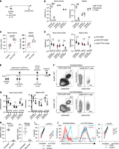 Intrinsically Determined Turnover Underlies Broad Heterogeneity In