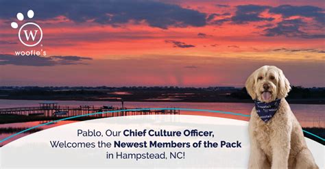 Jill Devlin On Linkedin Home