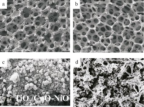 Sem Image Of A 100 Ppi Cu Foam Adapted From 46 B 100 Ppi Ni