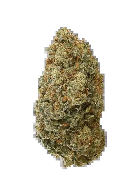 Devils Lettuce Cannabis Strain Information Growdiaries