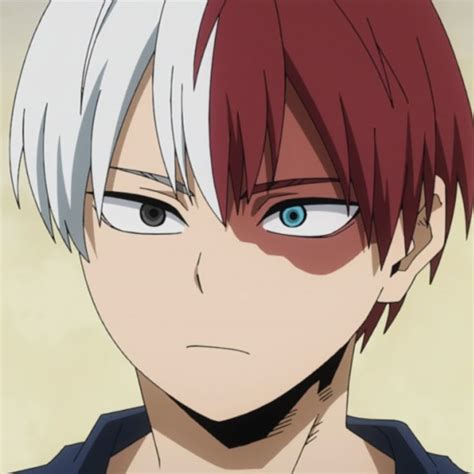 Todoroki My Hero Academia Art Reference Poses Hero