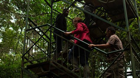 Madre De Dios Peru Where You Feel The Biodiversity