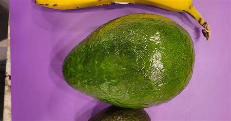 Check Out This Giant Avocado Banana For Scale Album On Imgur