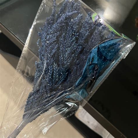 Dried Trigo Grasslocal Shopee Philippines