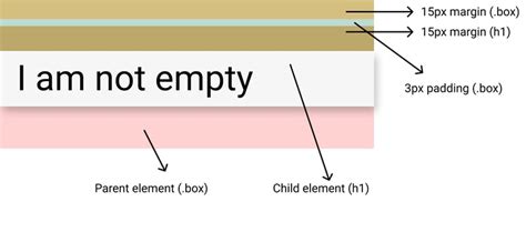 Mastering CSS Margin Collapse With Practical Examples DEV Community
