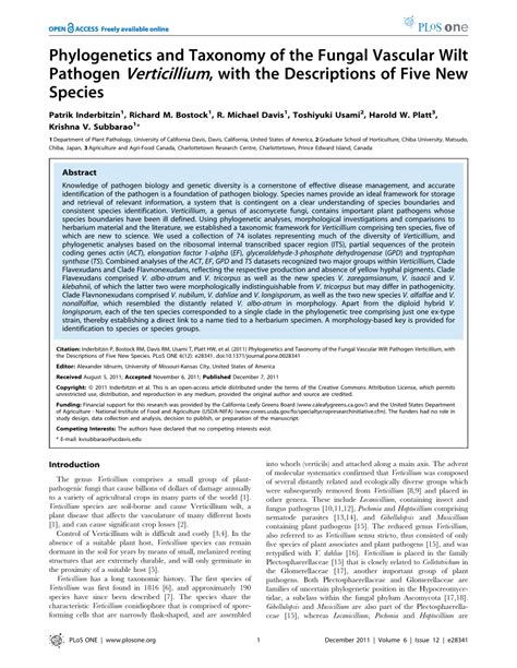Pdf Phylogenetics And Taxonomy Of The Fungal Vascular Wilt Pathogen Verticillium With The