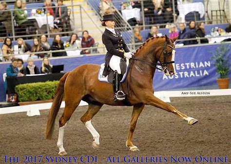 Amy Sue Alston Photography The 2017 Sydney Cdi All Proofs Are Now Online Asphotodesign