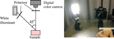 Figure 4 From Image Based Control Of Skin Translucency Semantic Scholar