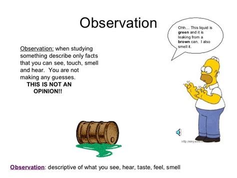 Observation Vs Inference Worksheet E