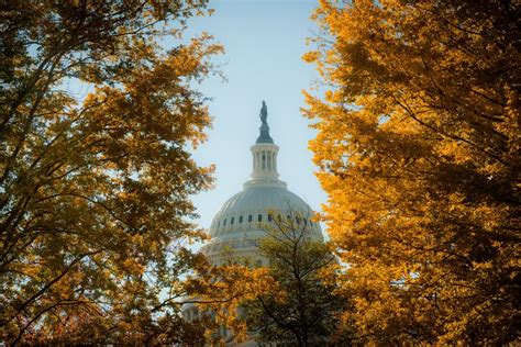 Best Places To Photograph Fall Foliage In Dc Washington Dc