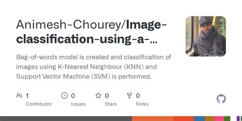 Github Animesh Choureyimage Classification Using A Bag Of Words
