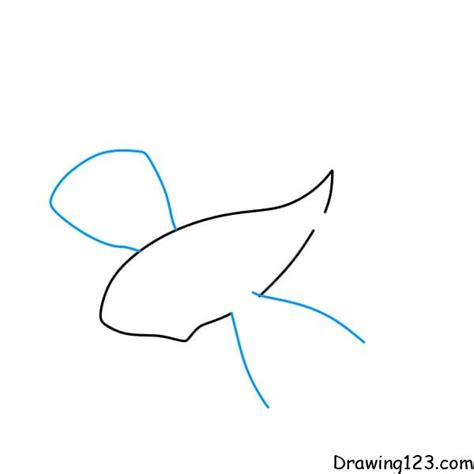 How To Draw Kyogre Pokemon Draw Central Primal Kyogre Fan Art By