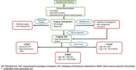 Algorithm For Management Of Full Thickness Cartilage Defects Download