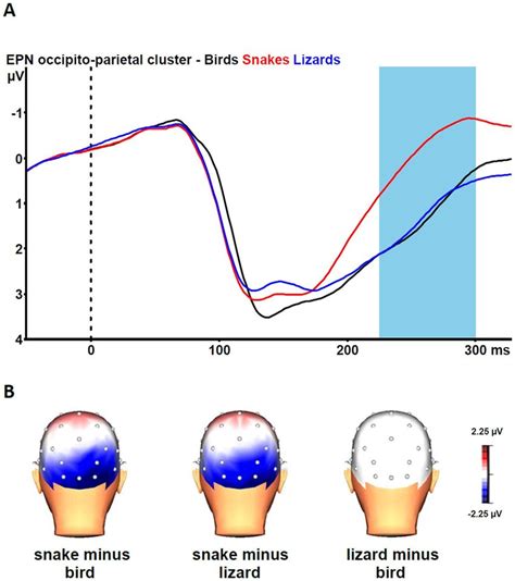 A Grand Average Waveforms For The Early Posterior Negativity Epn In
