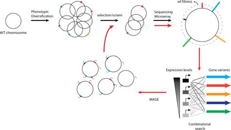 Overview Of Inverse Engineering Approaches Inverse Engineering Begins