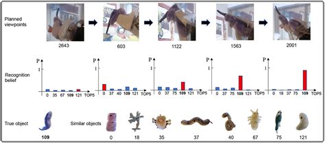 Frontiers Viewpoint Planning With Transition Management For Active Object Recognition