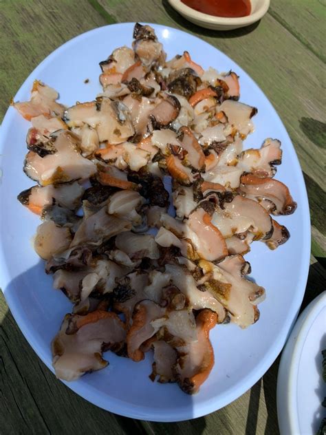 제주도 가서 먹은 뿔소라 음식여행 에펨코리아