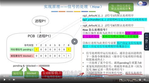 操作系统新考点 Csdn博客