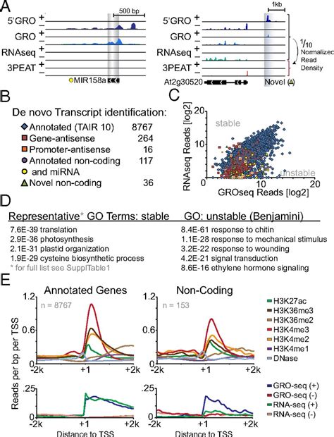 Nascent Rna Sequencing Reveals Distinct Features In Plant Transcription