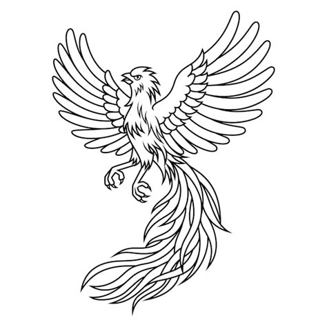 Premium Vector Hand Drawn Of Phoenix Line Art