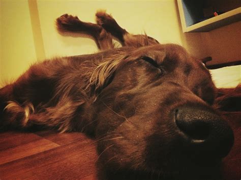 Bruce Says Its Too Early For Rhm Album On Imgur