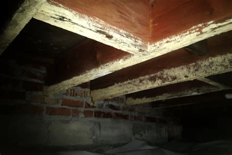 How To Stop Mold In Your Crawl Space