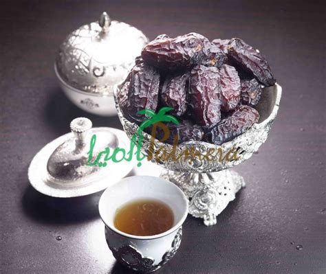 Vlogs Saudi Arabia Dates